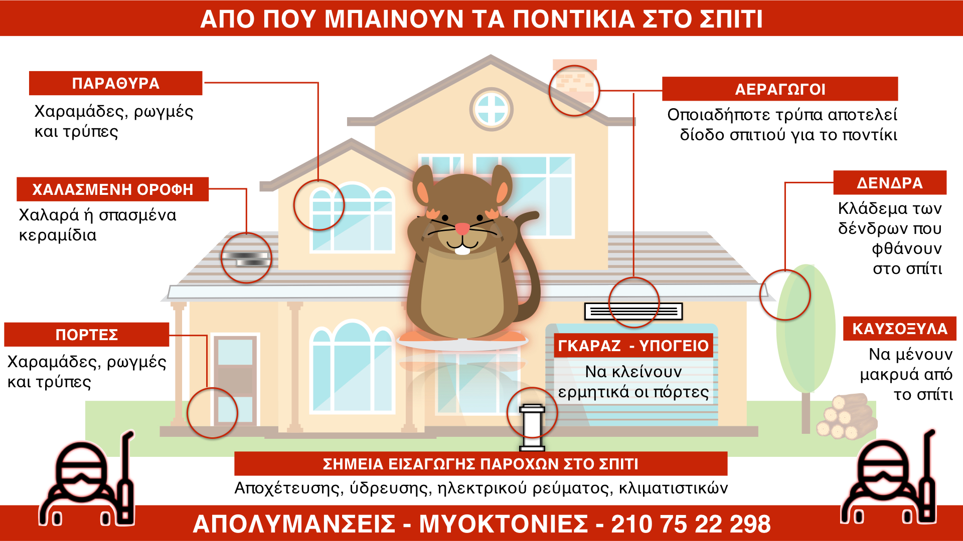 ΤΙ ΠΡΟΣΕΛΚΥΕΙ ΤΑ ΠΟΝΤΙΚΙΑ ΣΤΟ ΣΠΙΤΙ - Πως να τα αποτρέψετε